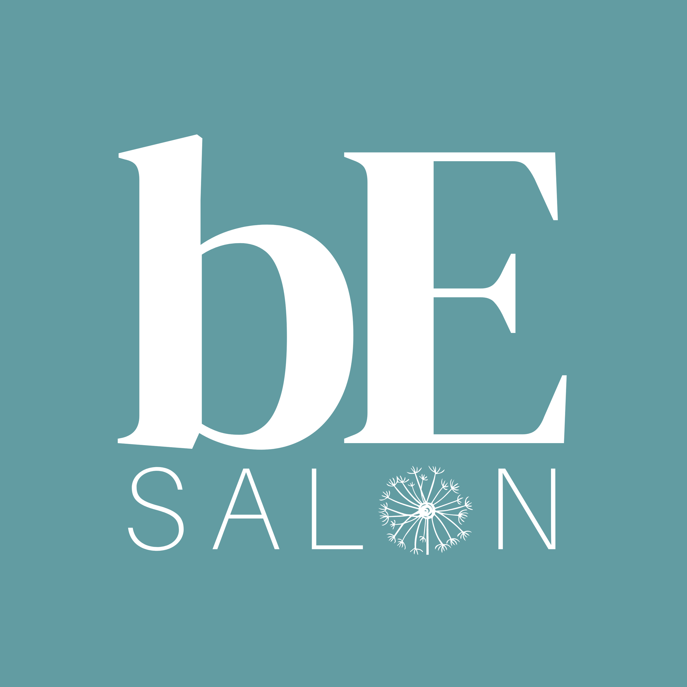 Hair Salon | bE Salon